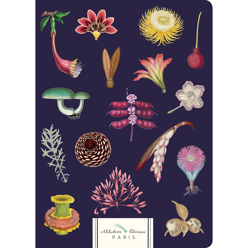 Clearance — Pulp Addiction